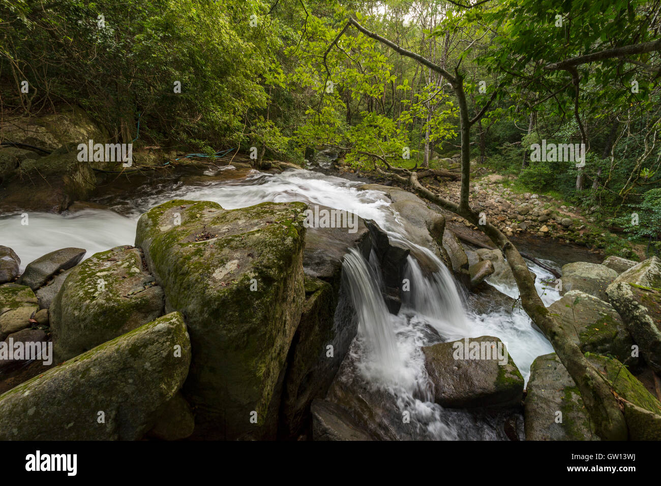Mutarazi falls hi-res stock photography and images - Alamy