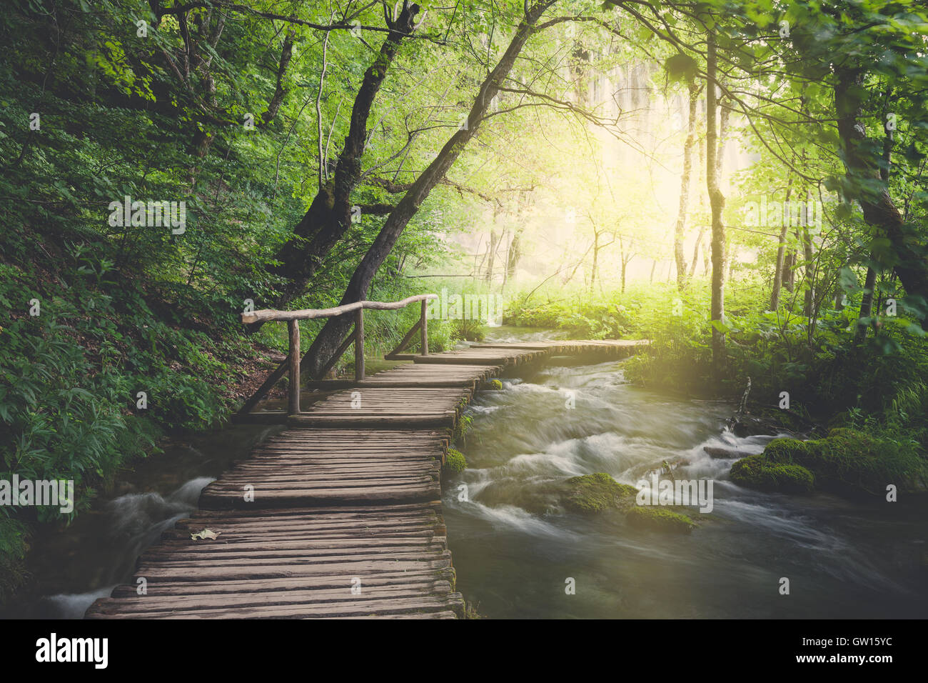 Wooden path across river in dark green forest Stock Photo - Alamy