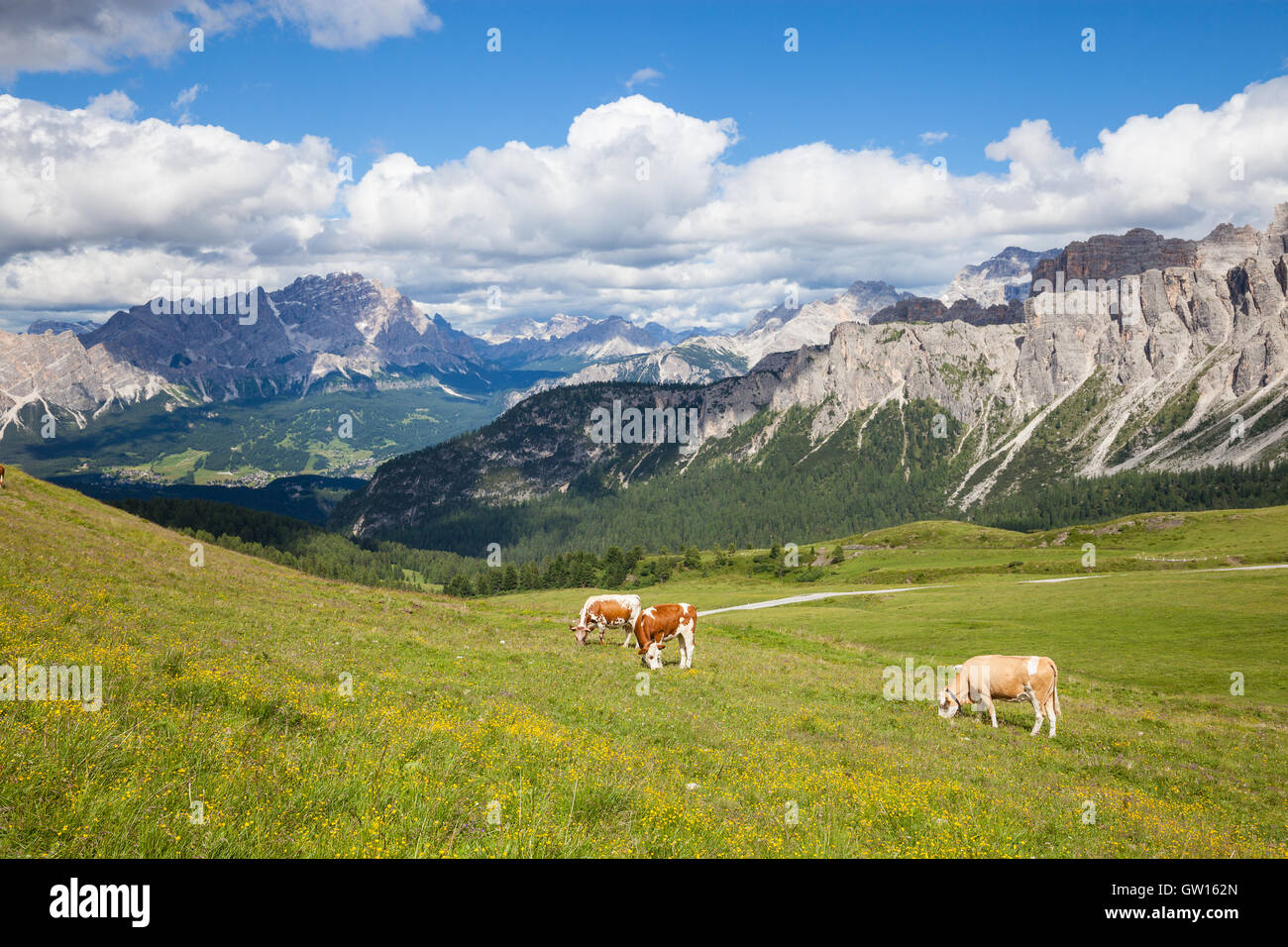 Hill pasture hi-res stock photography and images - Alamy