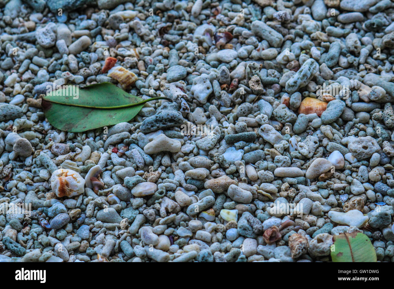 Coral, Rocks, Sea, Rocks, nature, Havelock, Andaman, Sky, Morning ...