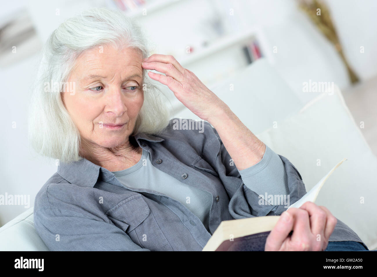 Old woman studying book elderly hi-res stock photography and images - Alamy