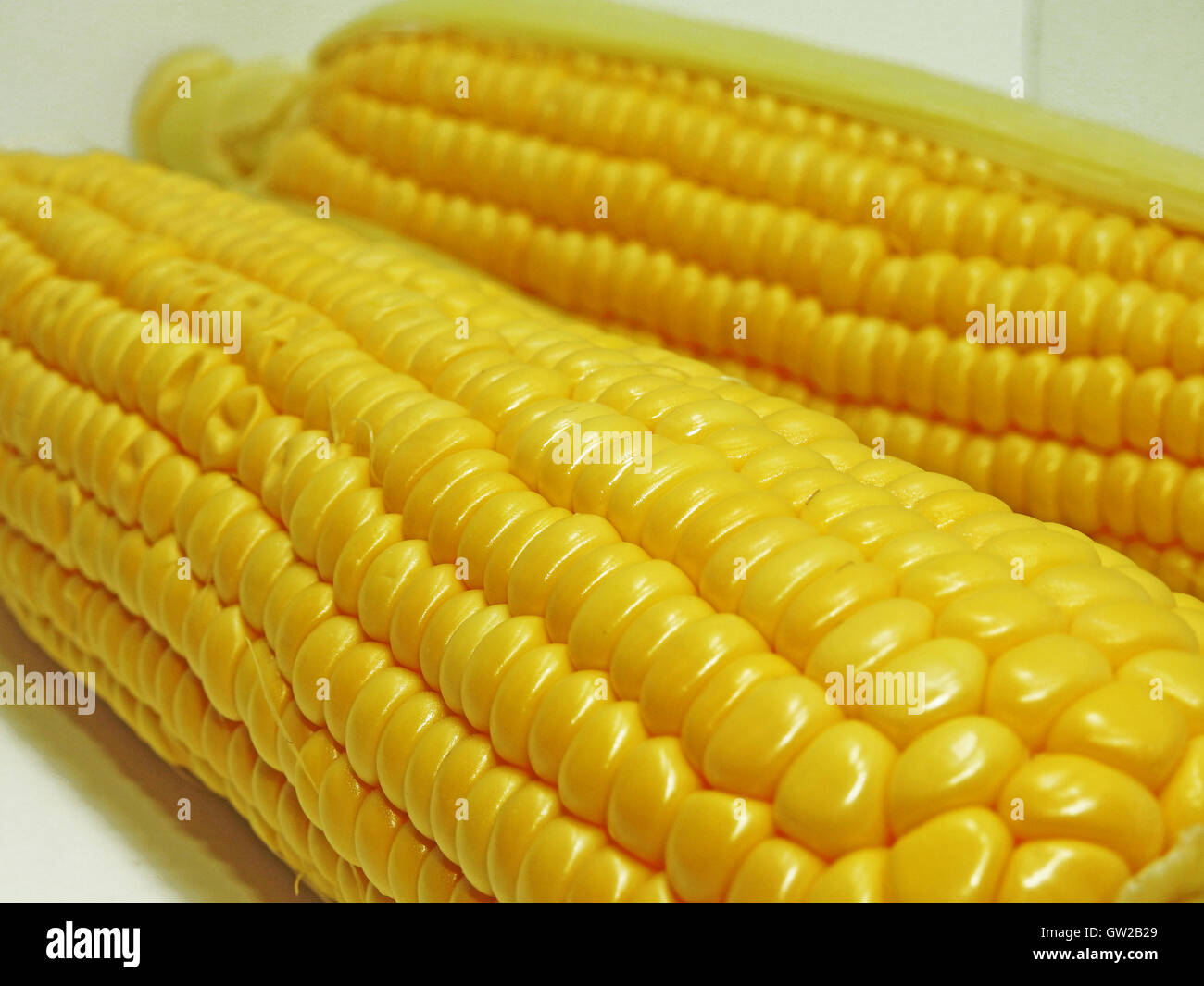 Fresh yellow corn Stock Photo - Alamy