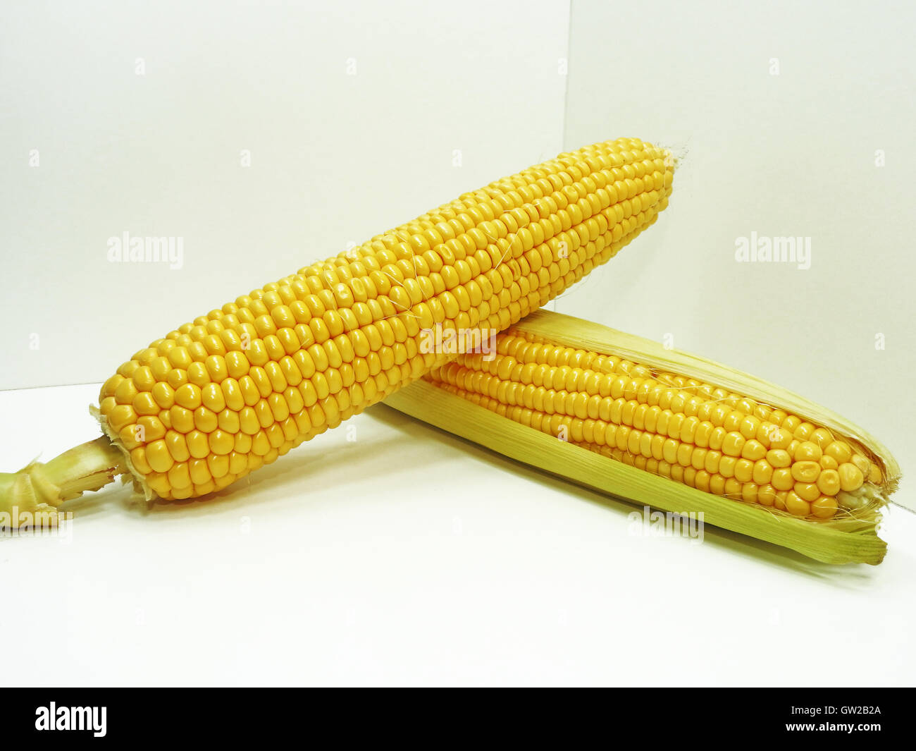 Fresh yellow corn Stock Photo - Alamy