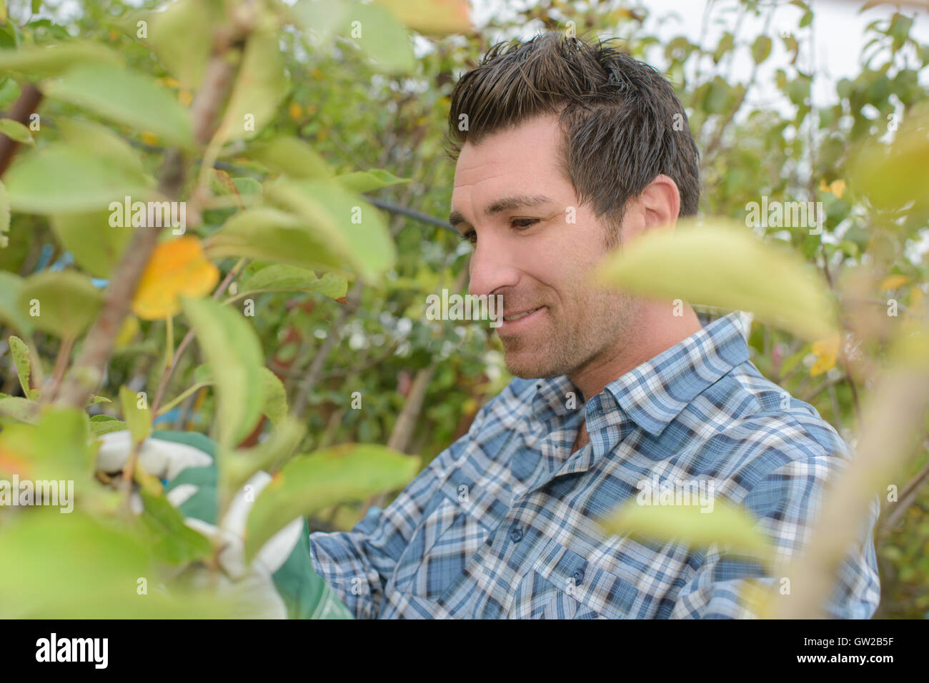 Orchard care home hi-res stock photography and images - Alamy
