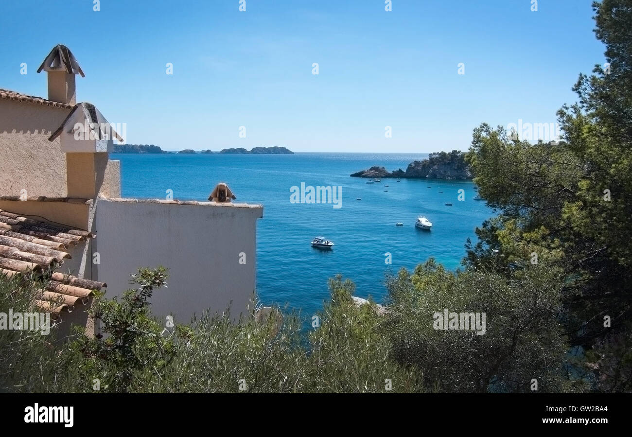 Cala Fornells Majorca landscape with turquoise green water beach ...