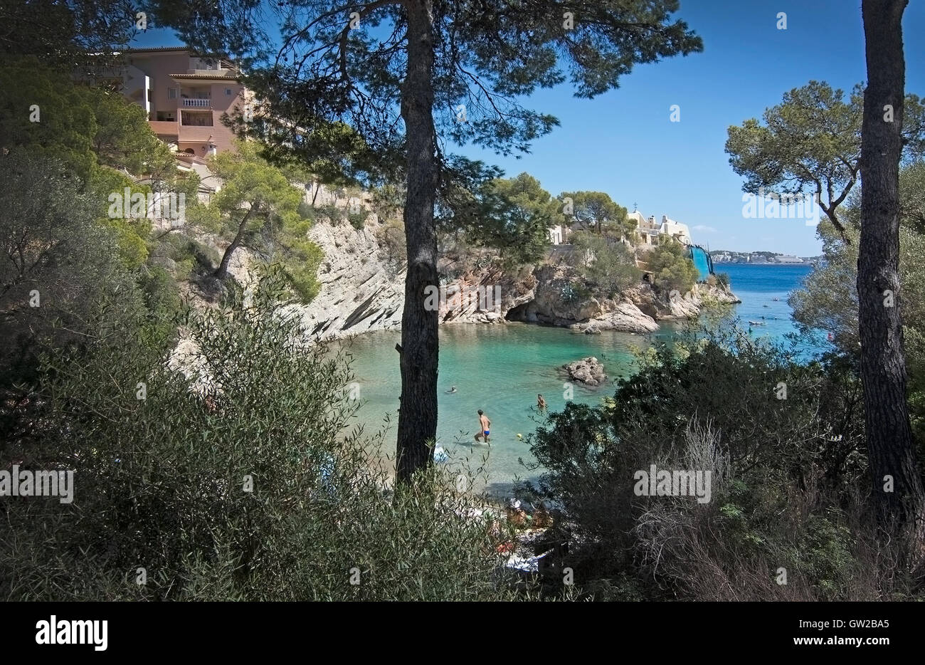 Cala Fornells Majorca landscape with turquoise green water beach ...