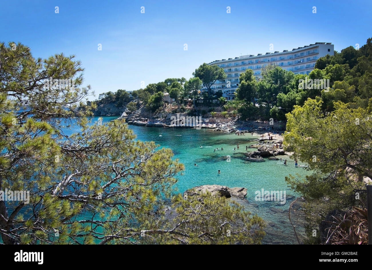 Cala Fornells Majorca landscape with turquoise green water beach ...