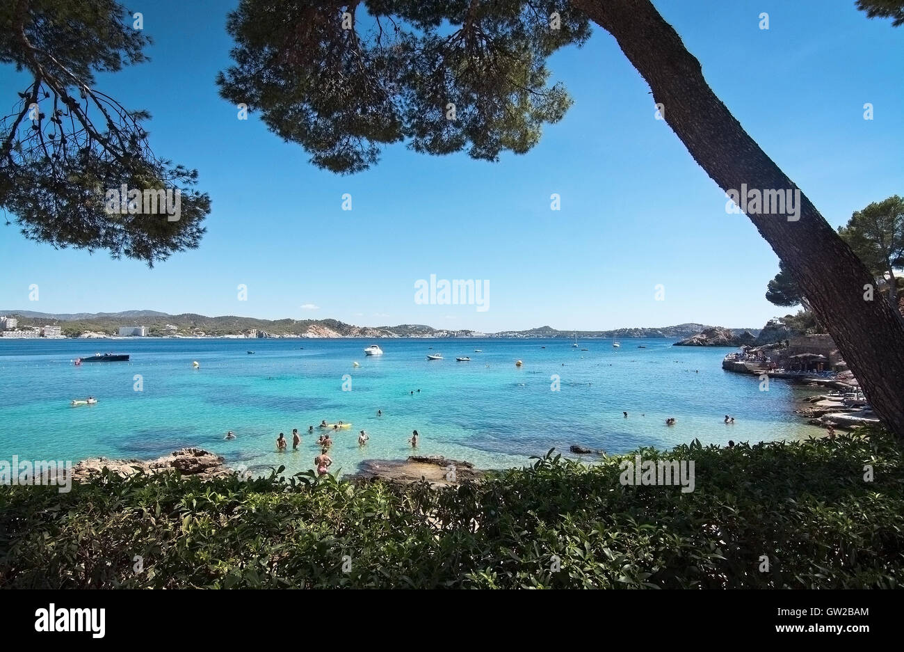 Cala Fornells Majorca landscape with turquoise green water beach ...