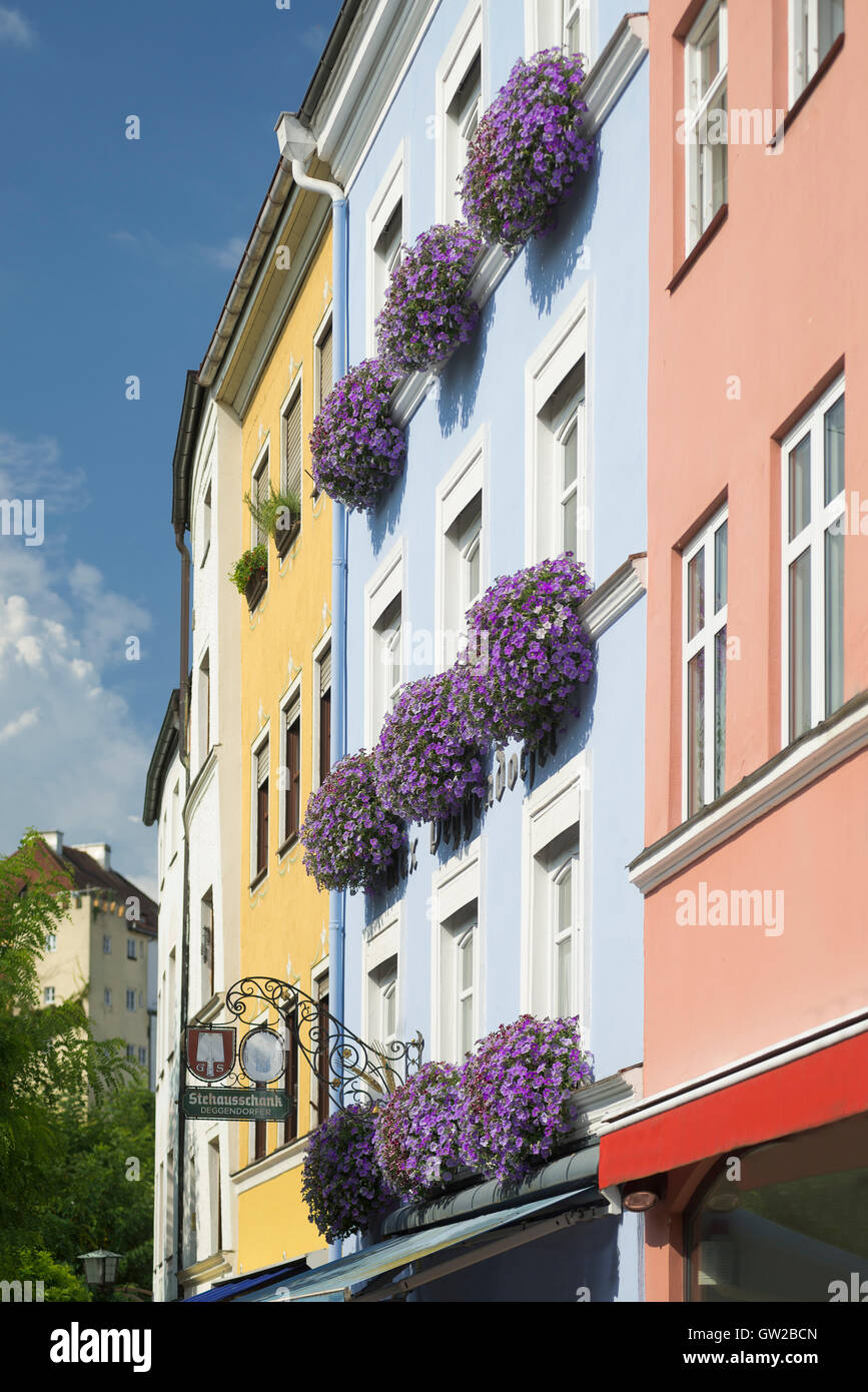 Petunia and geraniums hi-res stock photography and images - Alamy