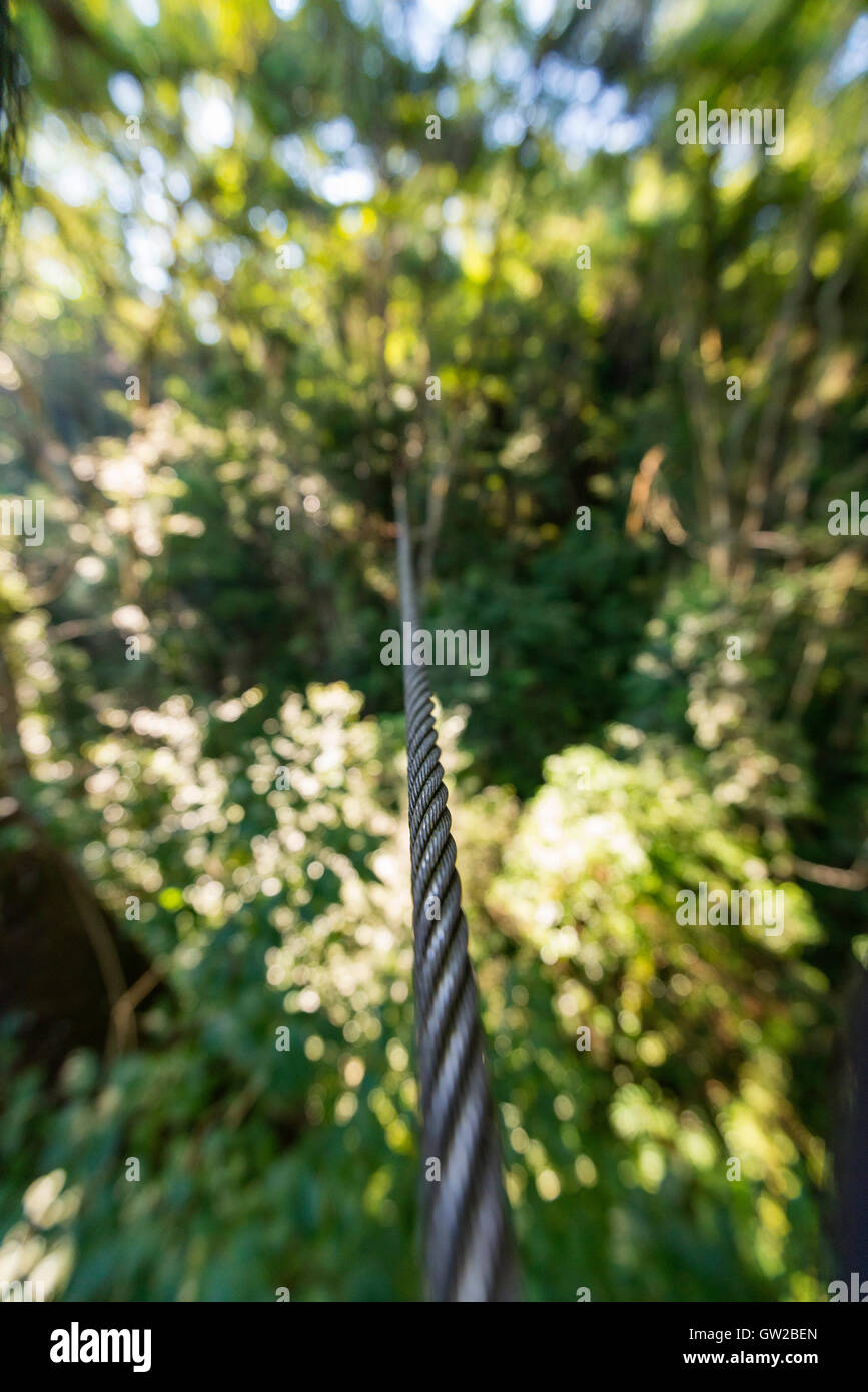 A tourist does a zipline through a forest in Aberfoyle, Zimbabwe Stock ...