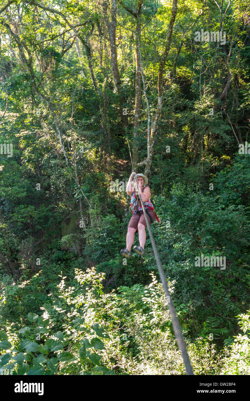 A tourist does a zipline through a forest in Aberfoyle, Zimbabwe Stock ...