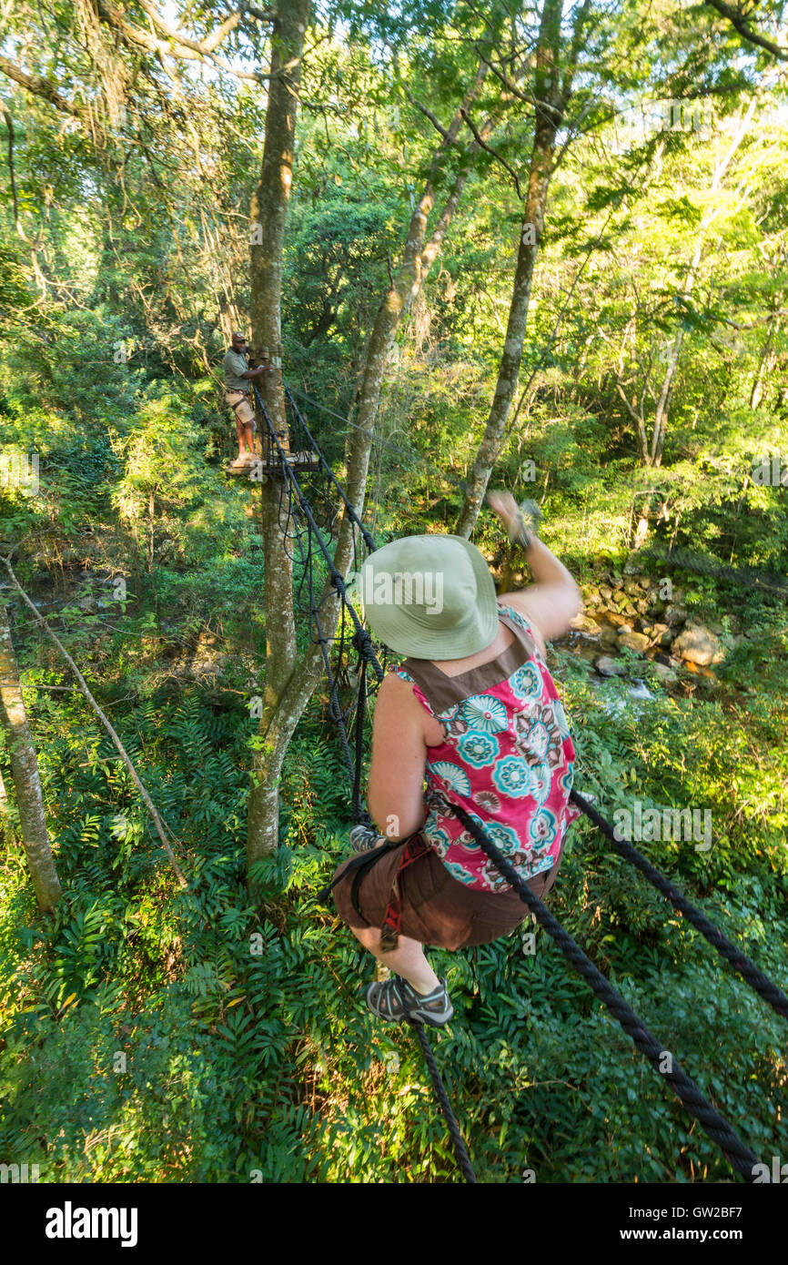 Indigenous tree zimbabwe hi-res stock photography and images - Alamy