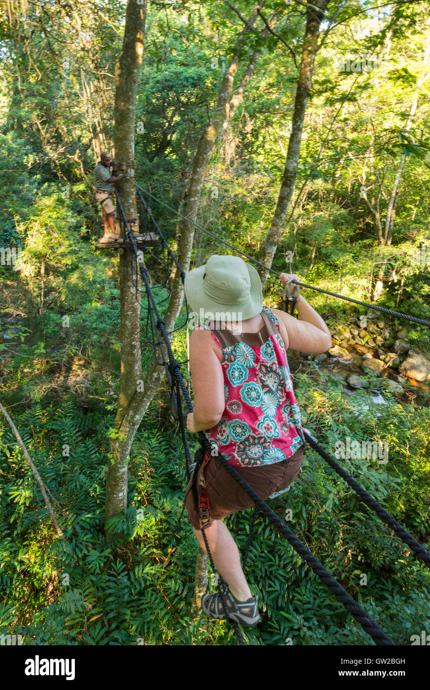 A tourist does a zipline through a forest in Aberfoyle, Zimbabwe Stock ...