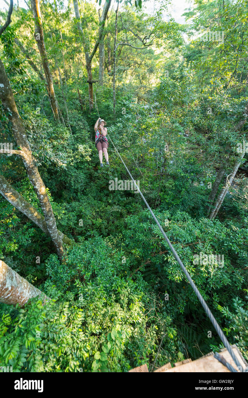 A tourist does a zipline through a forest in Aberfoyle, Zimbabwe Stock ...