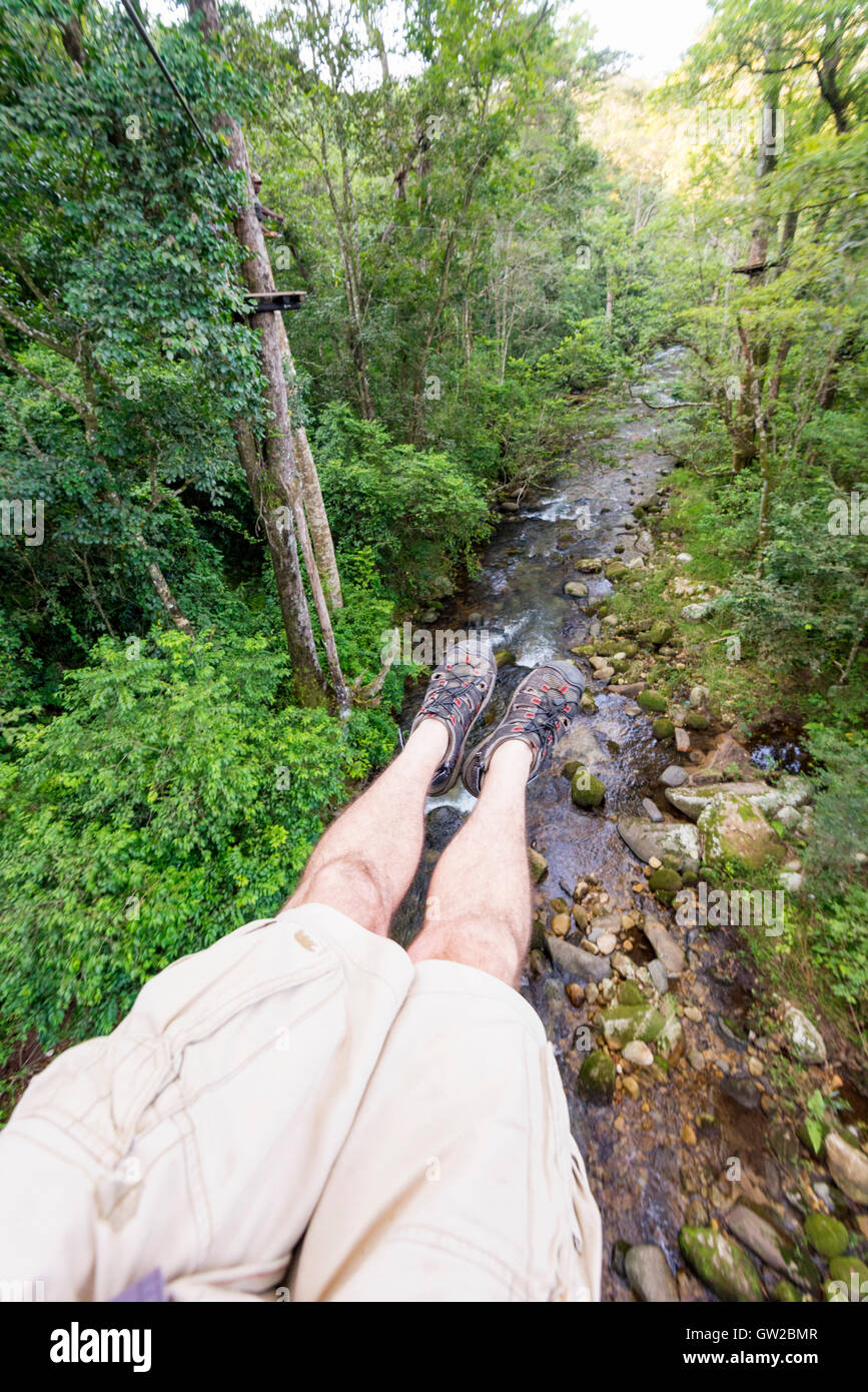 zip-line canopy tour eastern Highlands Zimbabwe Stock Photo - Alamy