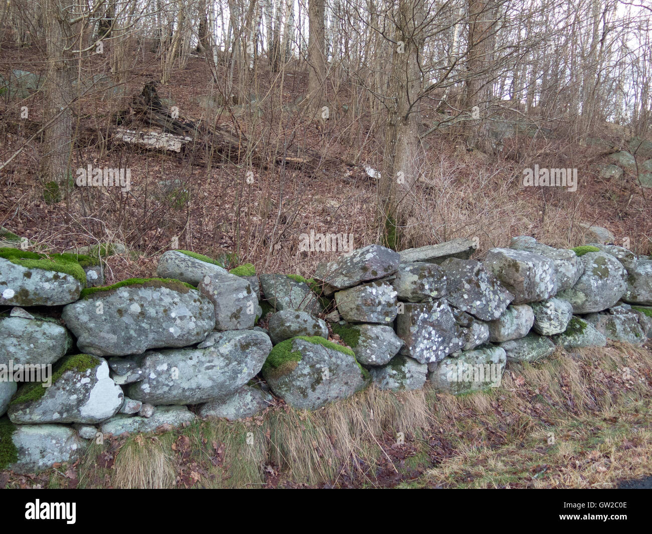 one wall of stone called stone fence placed in the forest Stock Photo ...