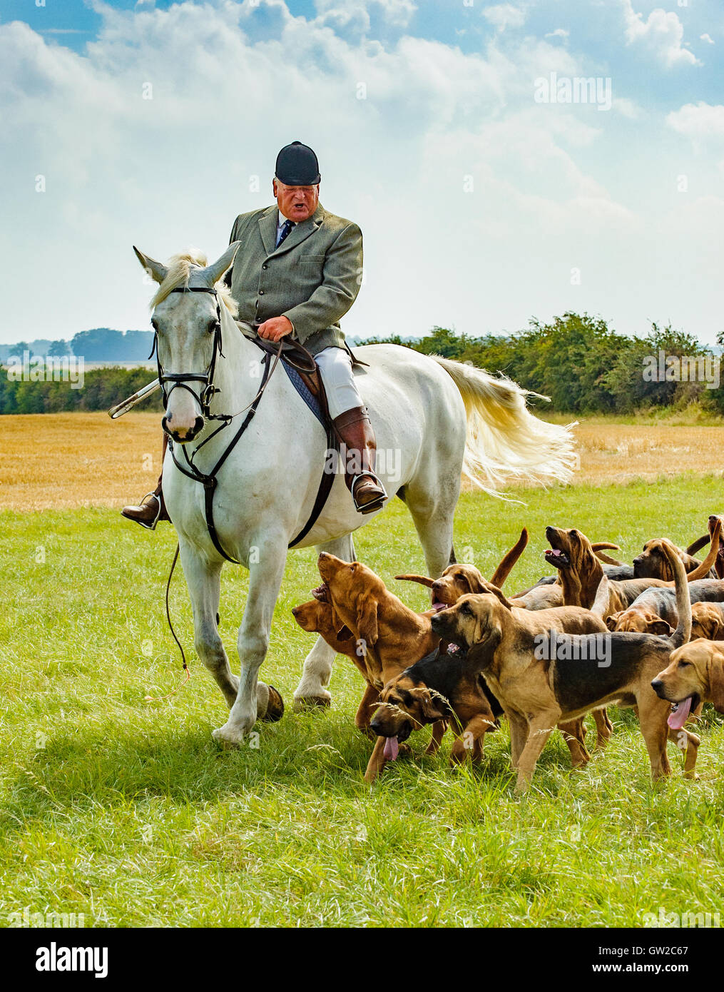Master of The Cranwell Bloodhounds, Lincolnshire, England - out for ...