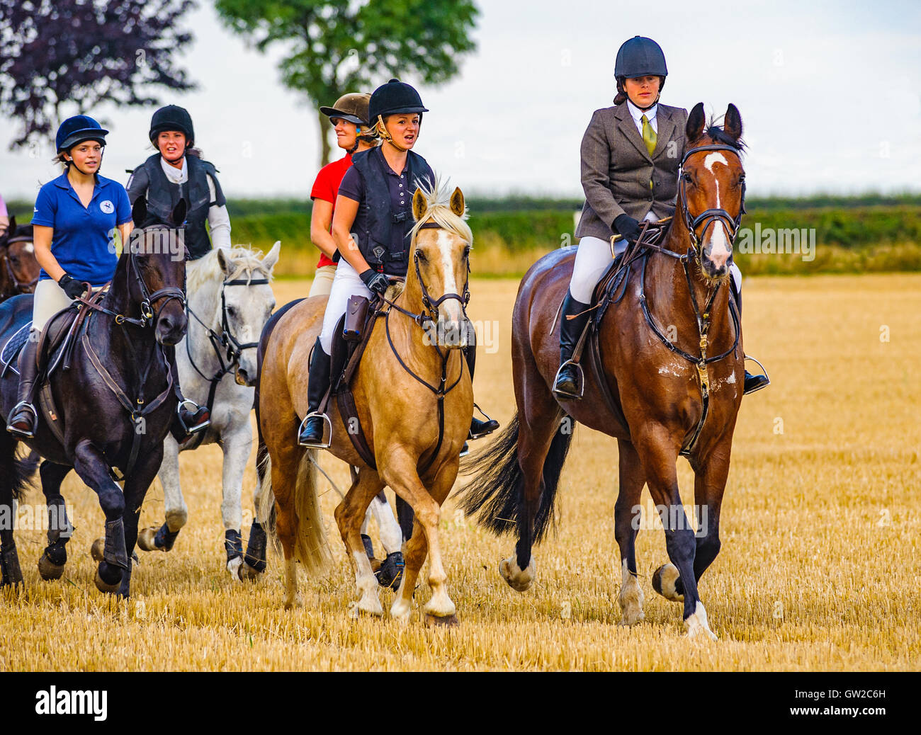 Pony girls hi-res stock photography and images - Alamy