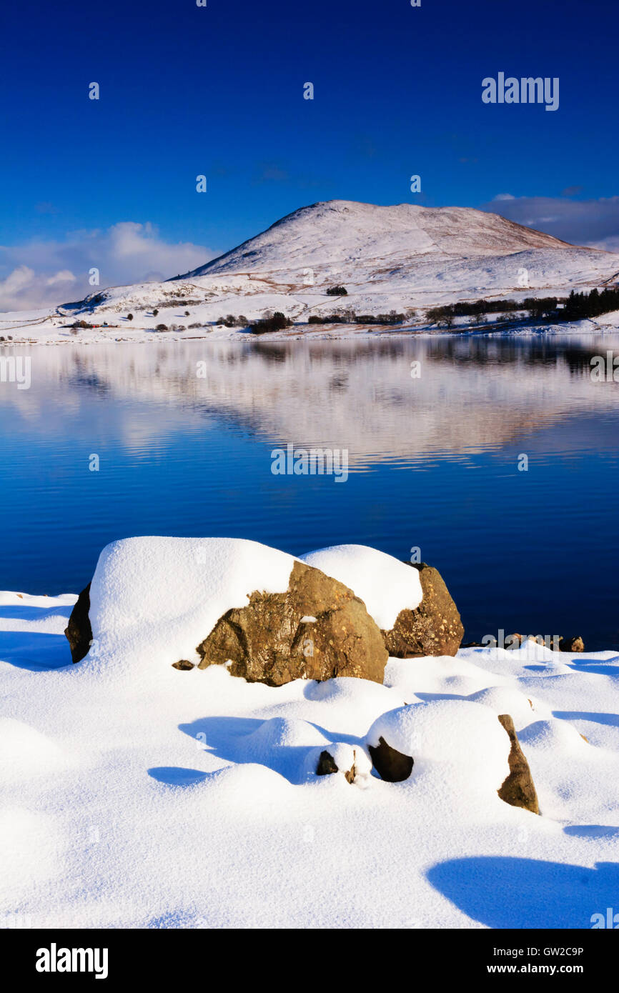 Lynn celyn llyn hi-res stock photography and images - Alamy