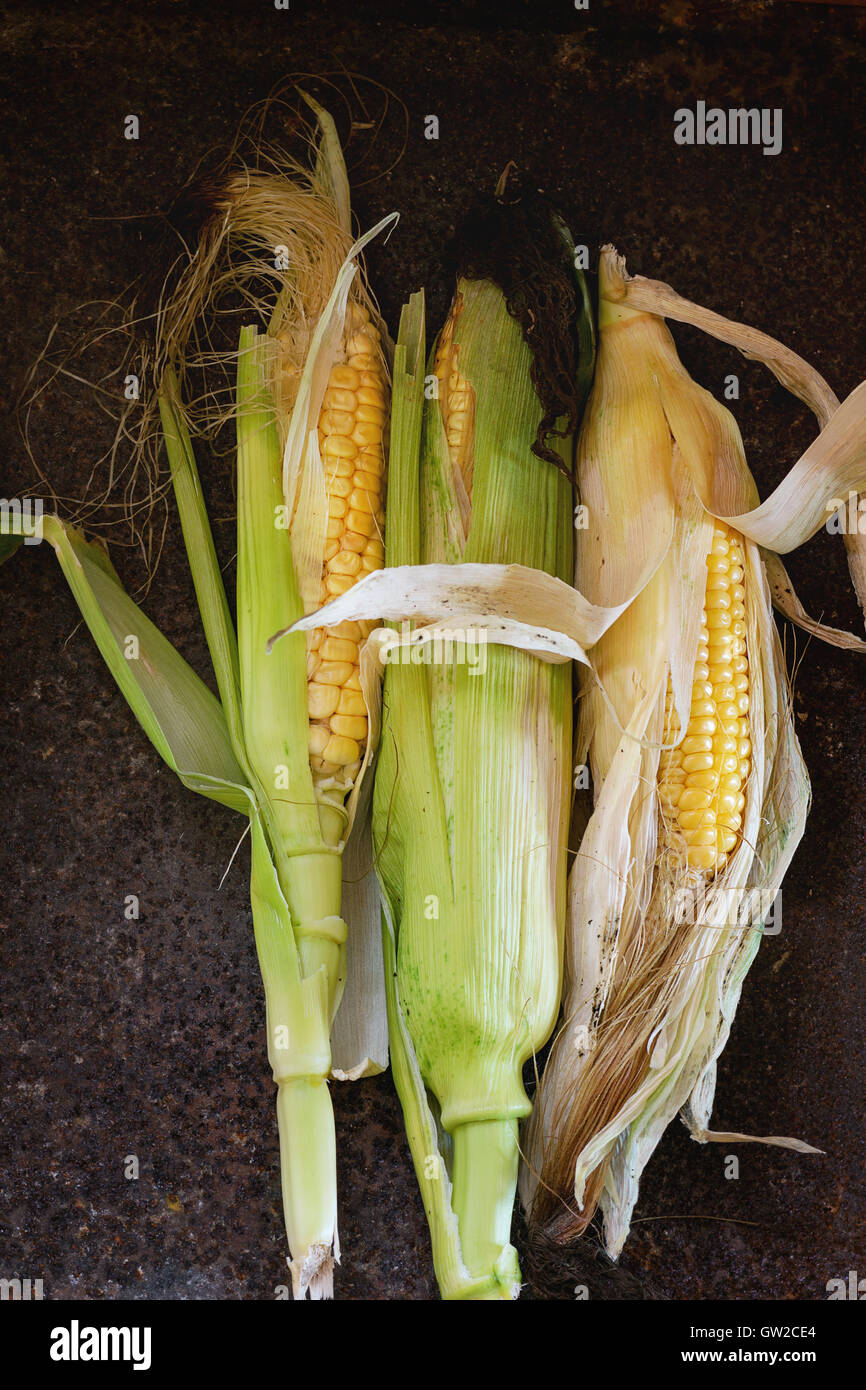 Corn cobs with leaves Stock Photo - Alamy
