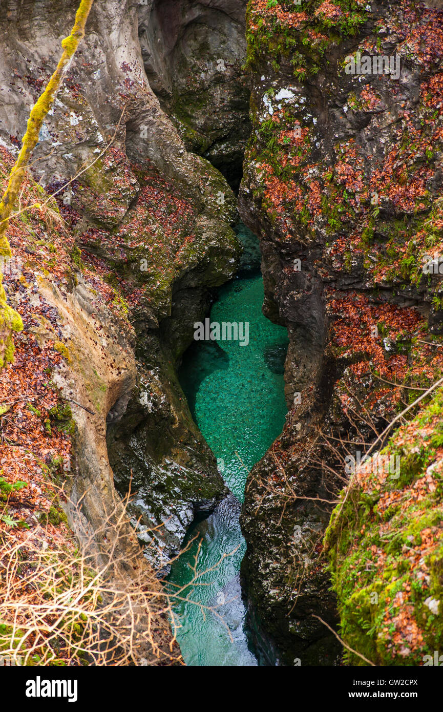Mostnica gorge, Bohinj, Slovenia Stock Photo - Alamy