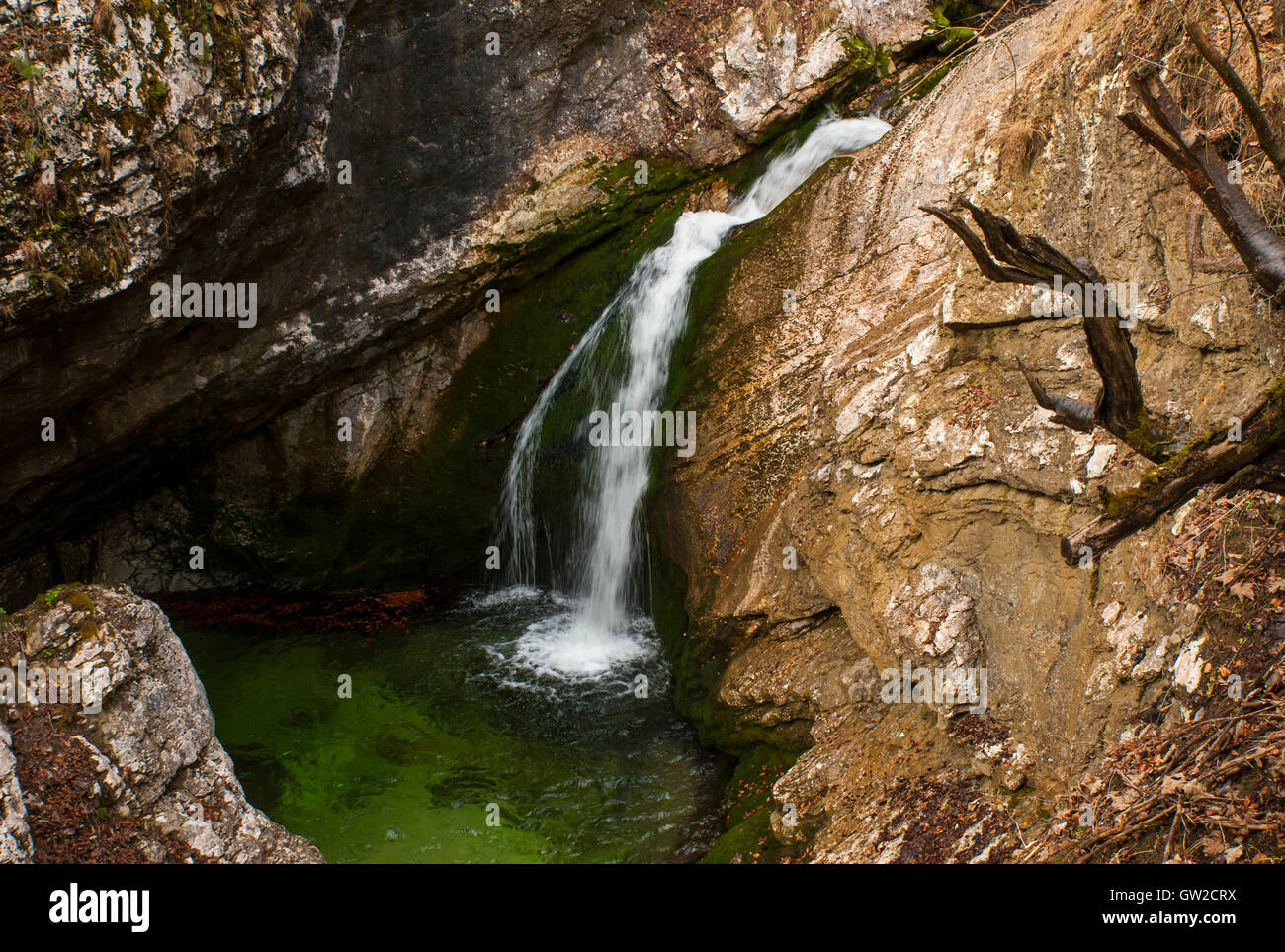Mostnica gorge, Bohinj, Slovenia Stock Photo - Alamy