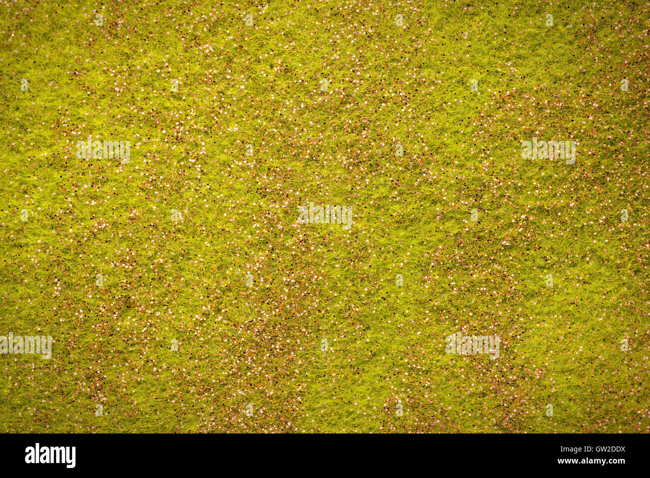 Green felt grass-liked background with small glitters Stock Photo - Alamy