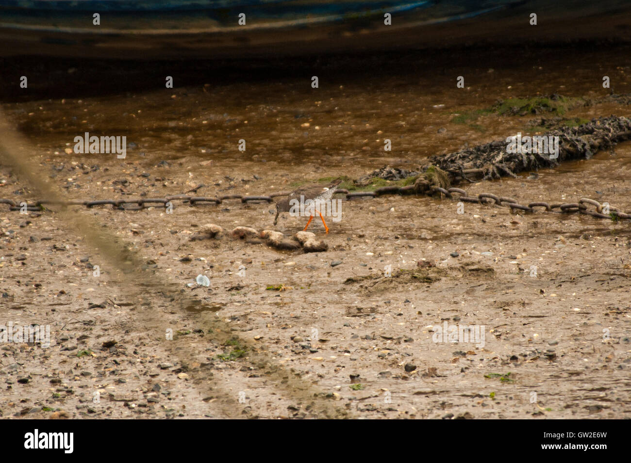 Various Views of North Norfolk Stock Photo - Alamy