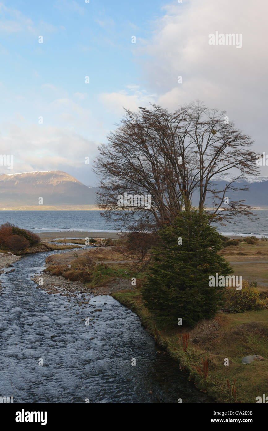 View trees and lake Stock Photo - Alamy