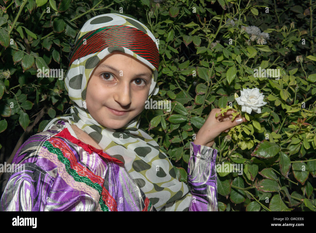 Bojnourd (Bojnurd), Kurdish Wedding, Young Girl Wearing Traditional ...