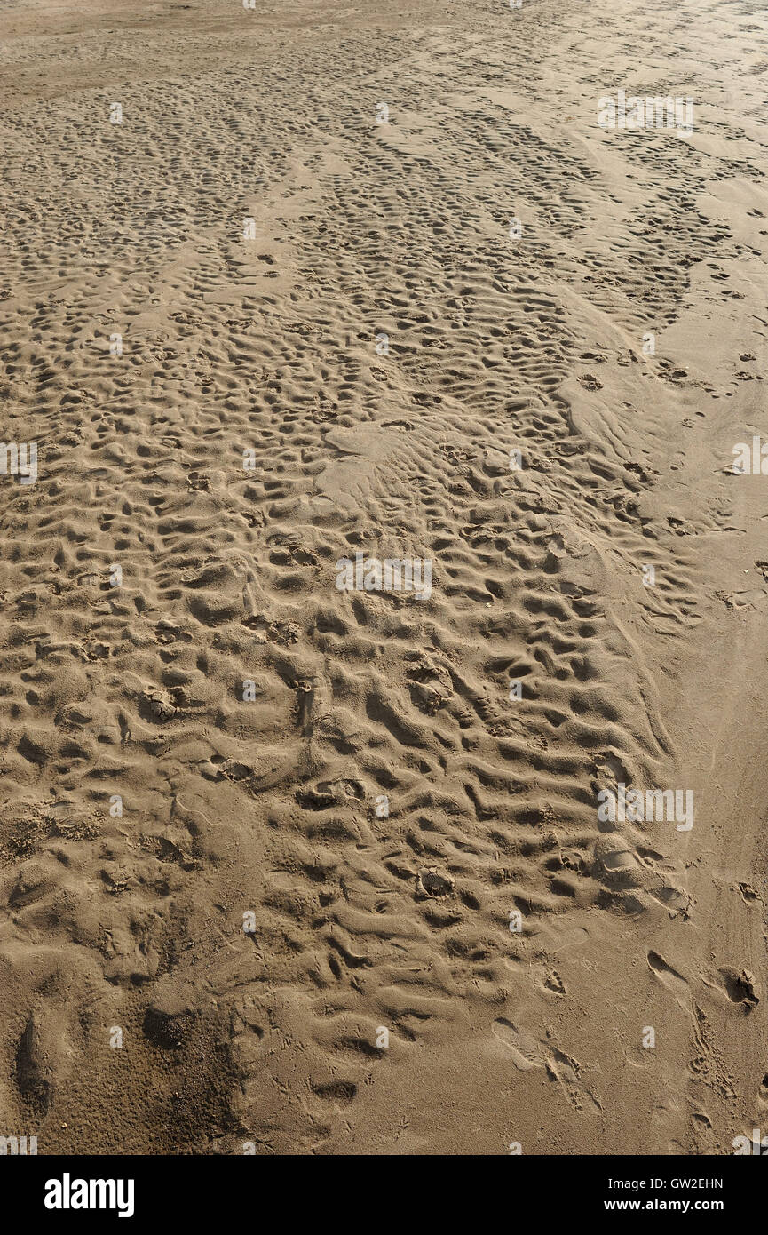 Close up background of sand Stock Photo - Alamy