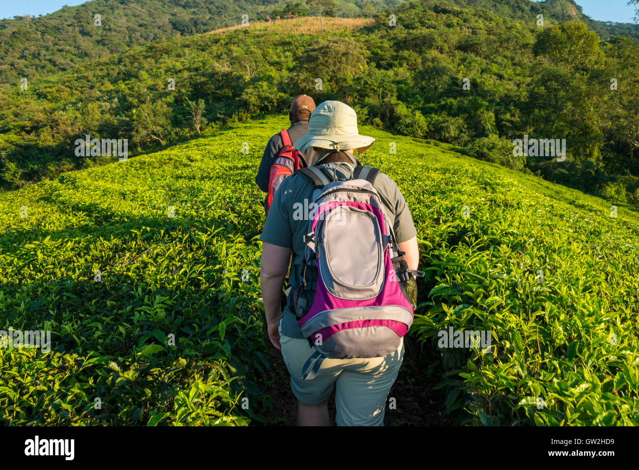 Nyangani mountain hi-res stock photography and images - Alamy