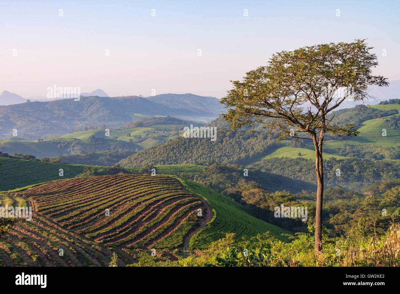 Intensive rainfall hi-res stock photography and images - Alamy