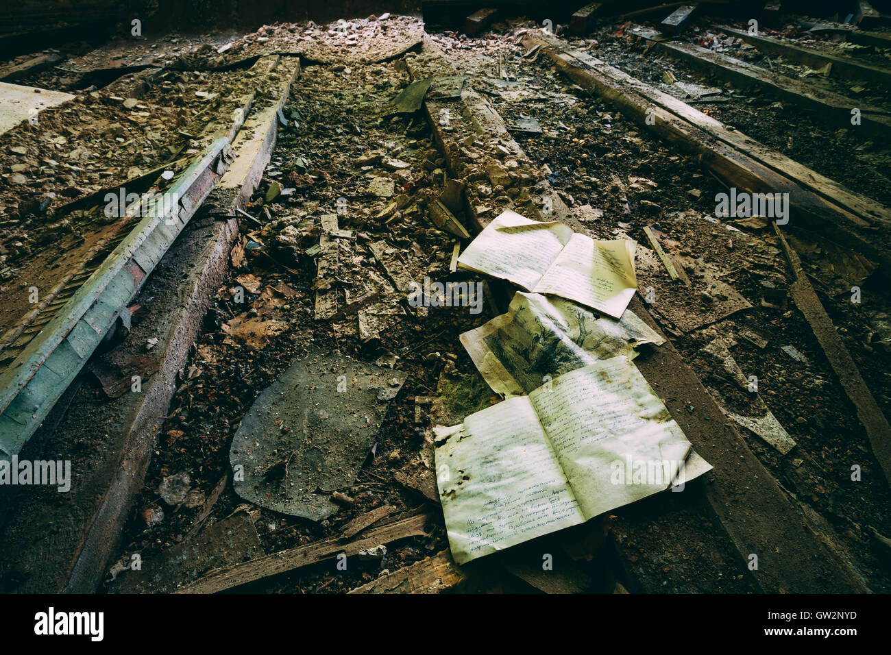 Chernobyl After Disaster