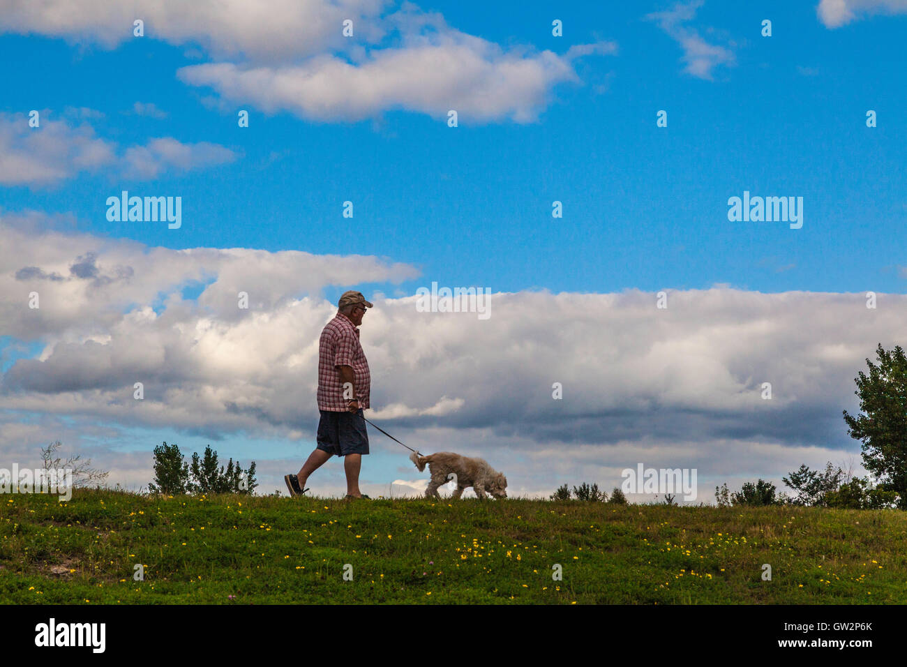Man walking his dog in the countryside, Canada Stock Photo - Alamy