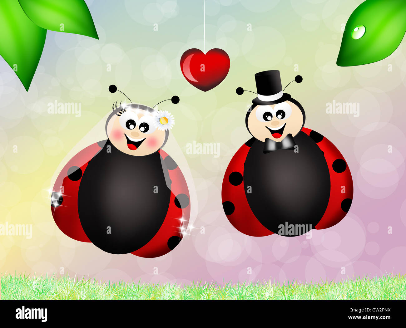 Ladybugs in love Stock Photo - Alamy