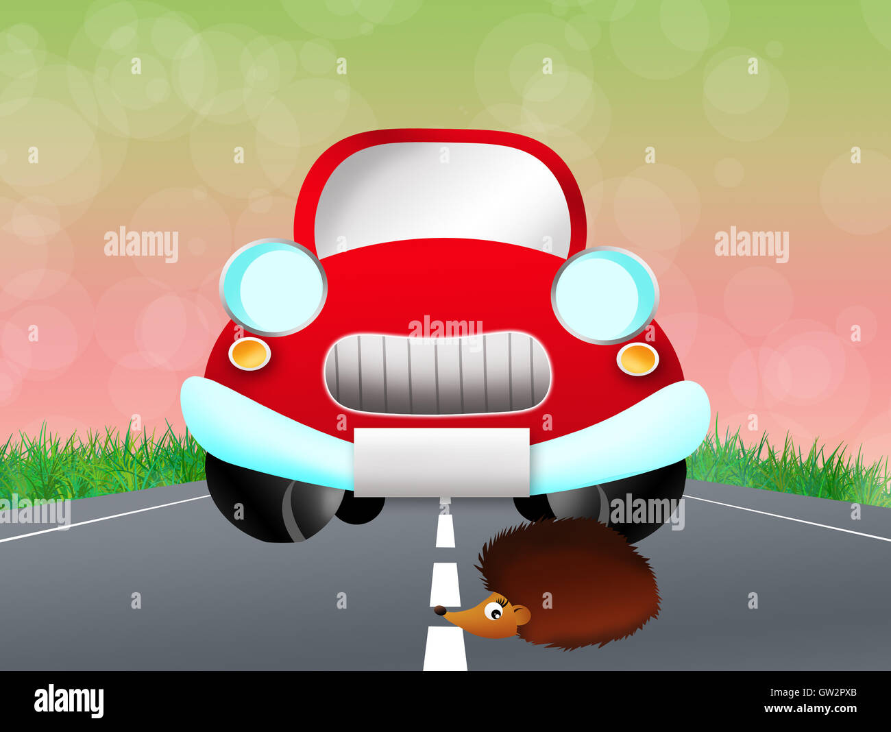 Hedgehog on the road Stock Photo - Alamy