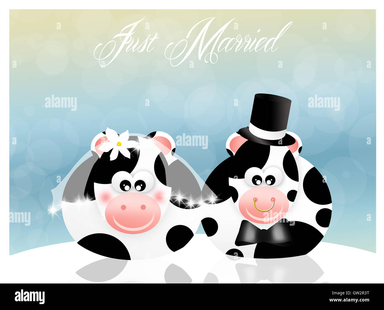Cows in love Stock Photo - Alamy