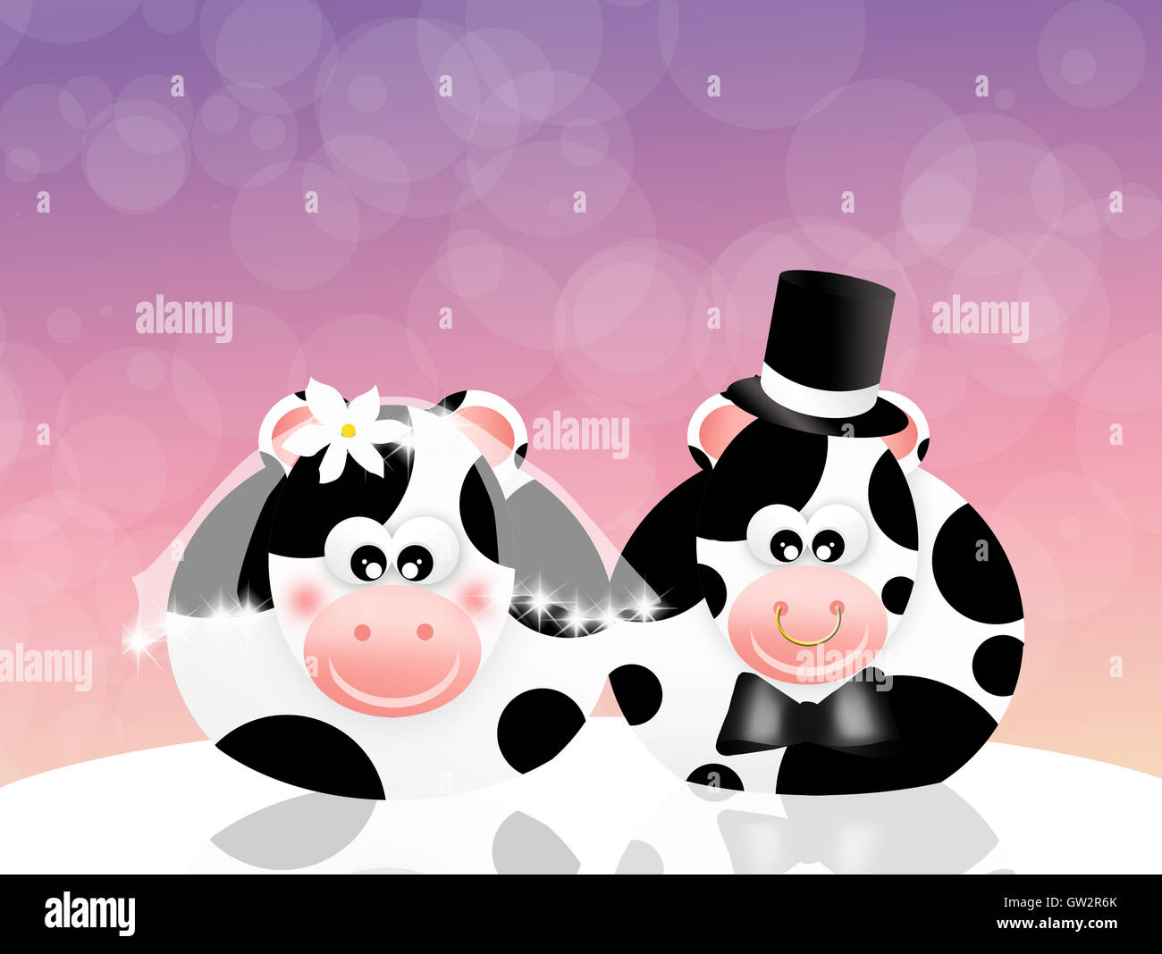 Cows in love Stock Photo - Alamy