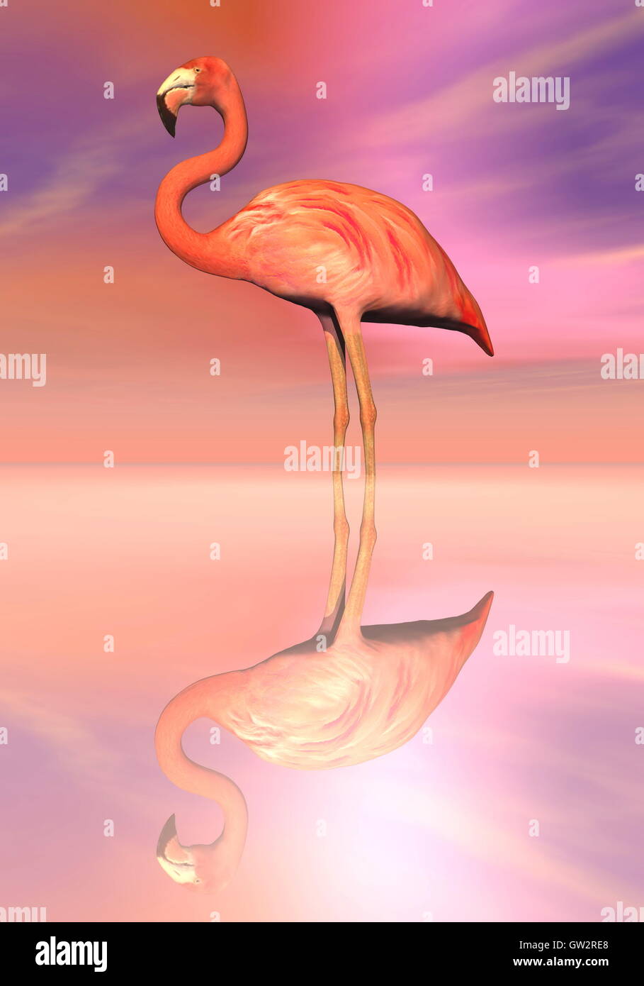 Flamingo reflection - 3D render Stock Photo - Alamy