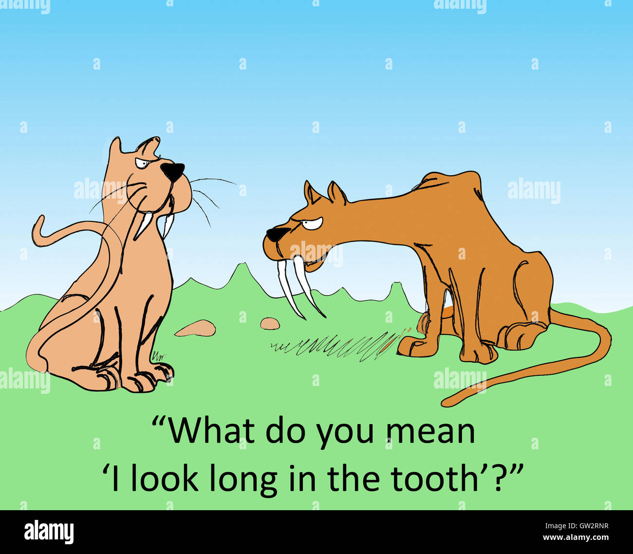 Aged lion hi-res stock photography and images - Alamy