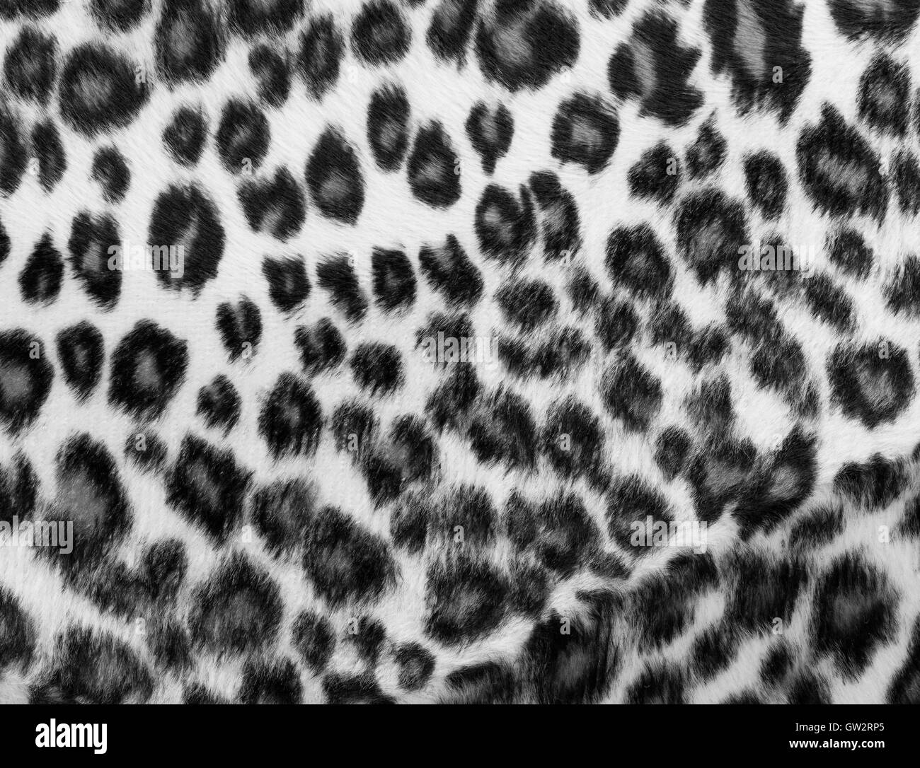 Monochrome leopard Print Stock Photo - Alamy