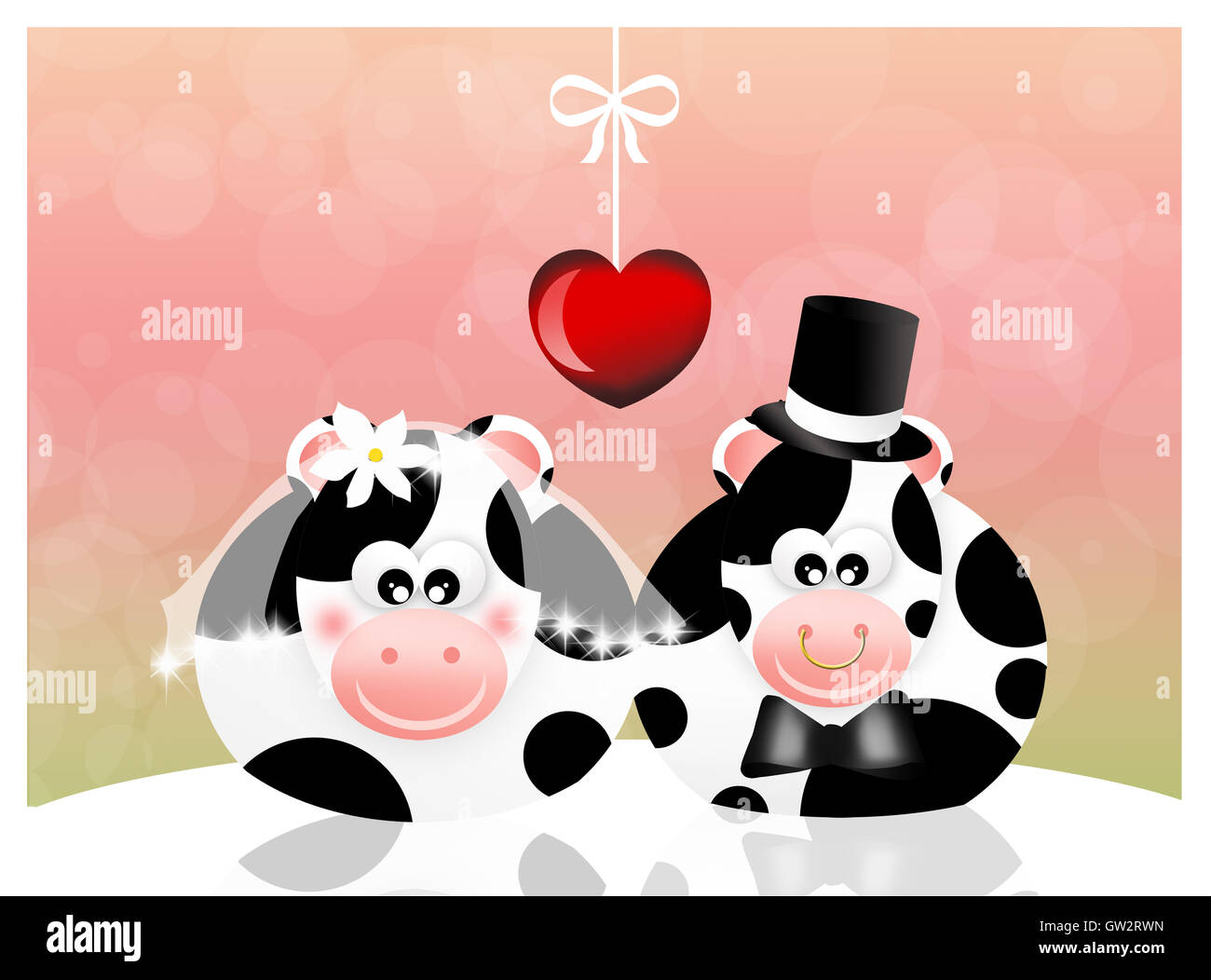 Cows in love Stock Photo - Alamy