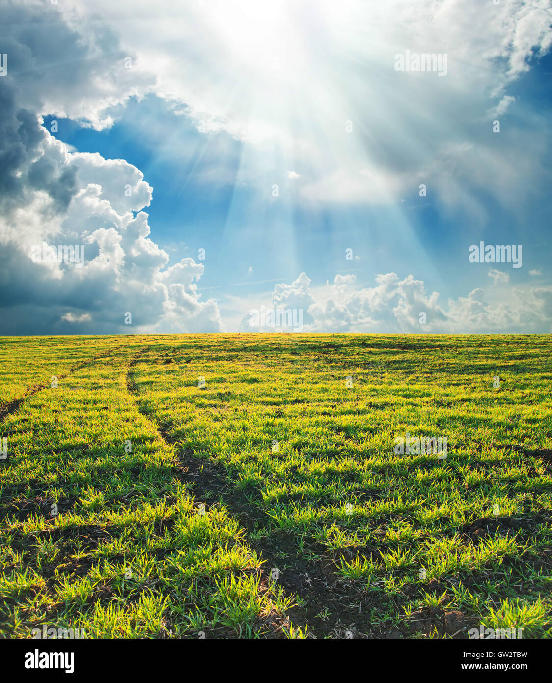 green field with path under sun Stock Photo - Alamy