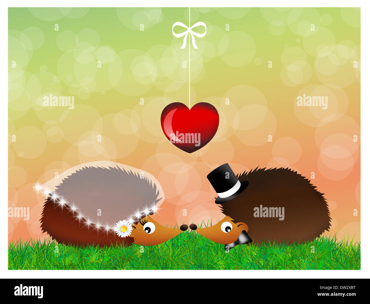 hedgehog in love Stock Photo - Alamy