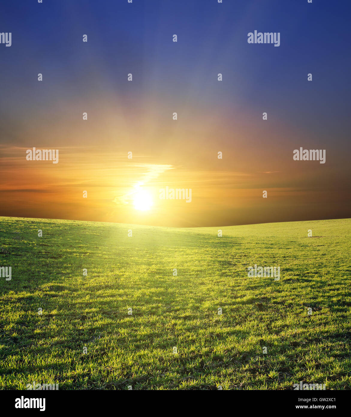 sunset over green field Stock Photo - Alamy