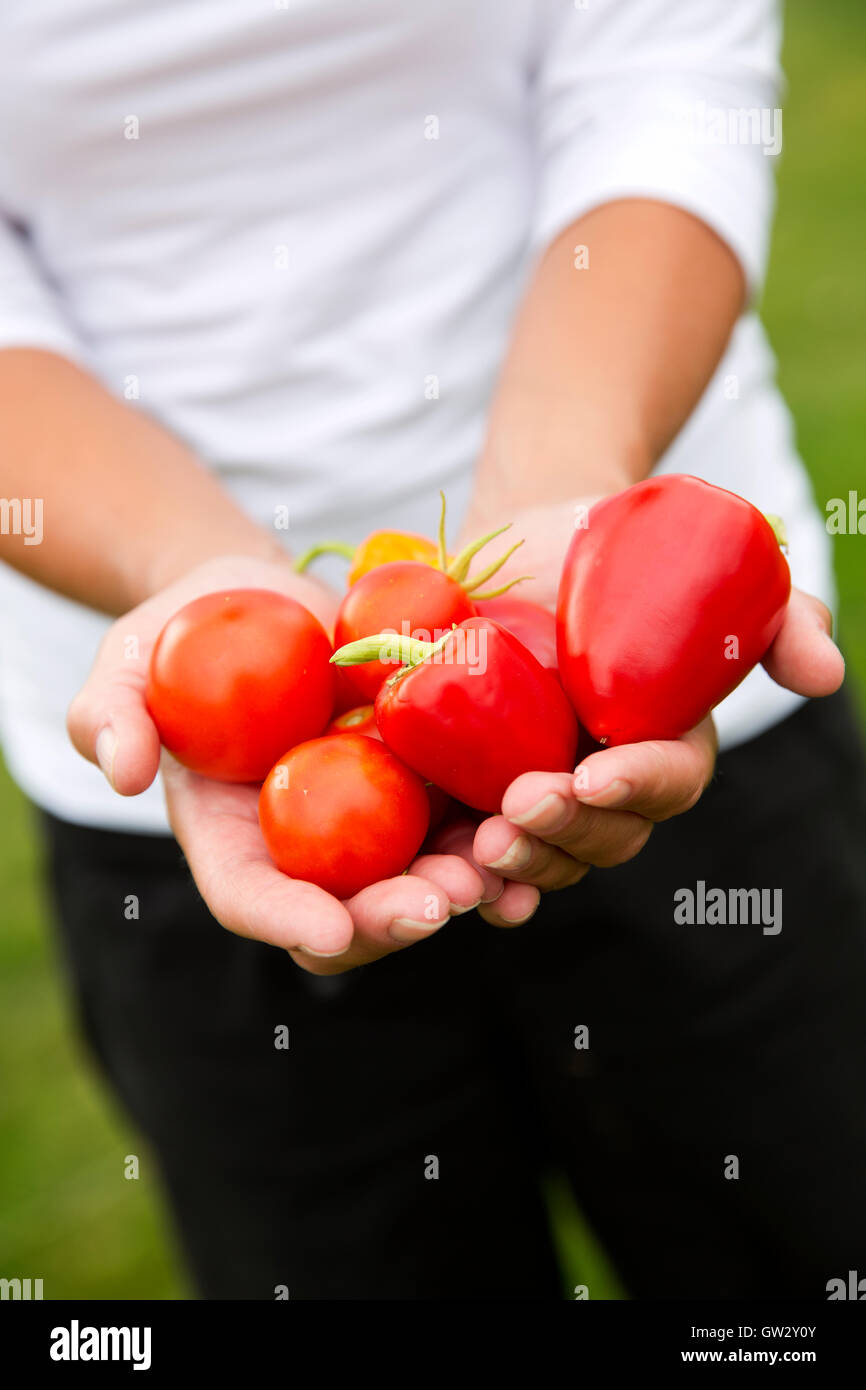 Vegetables in hands Stock Photo - Alamy