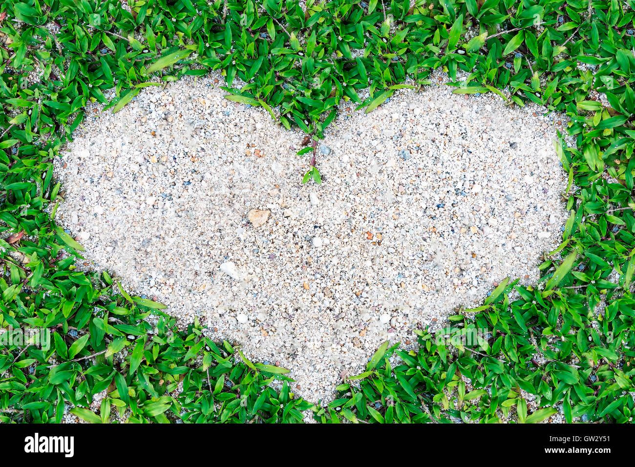 Green grass leaves frame in heart shape on sand background, love ...