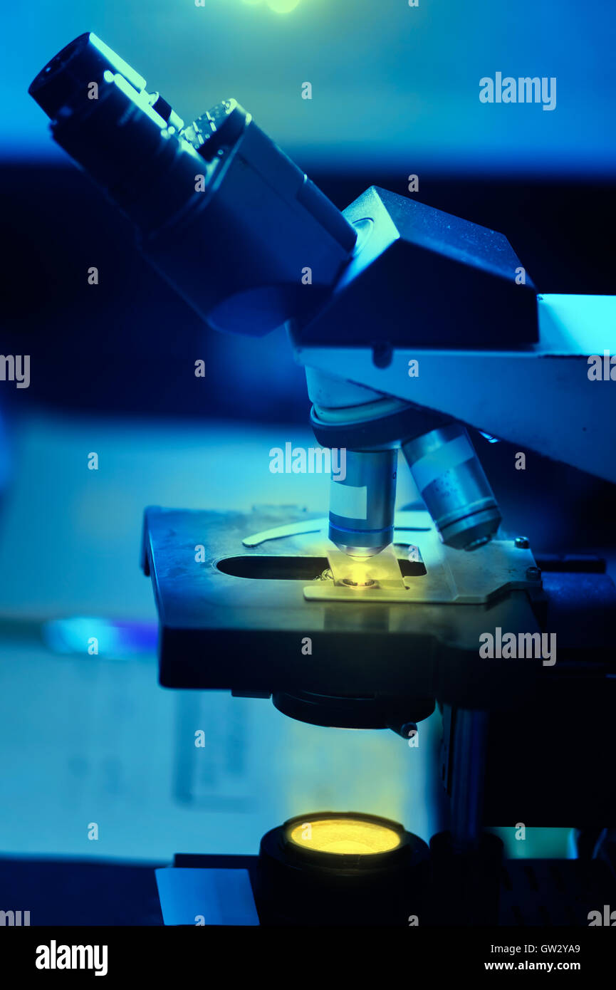 eye microscope for diagnostic disease in hospital laboratory Stock ...