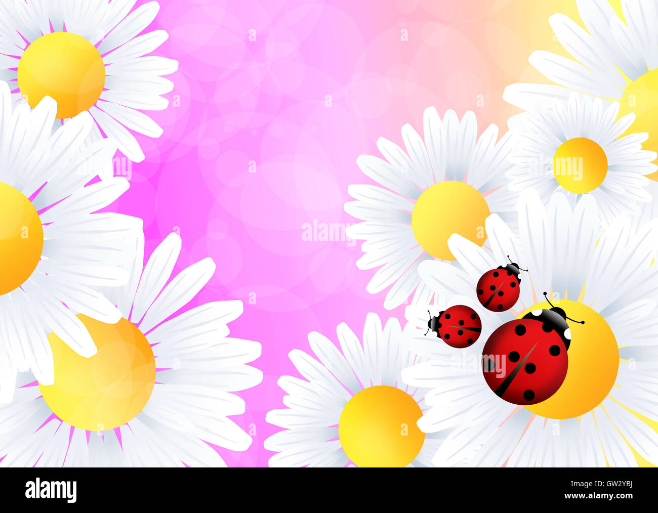 Ladybugs on flower Stock Photo - Alamy
